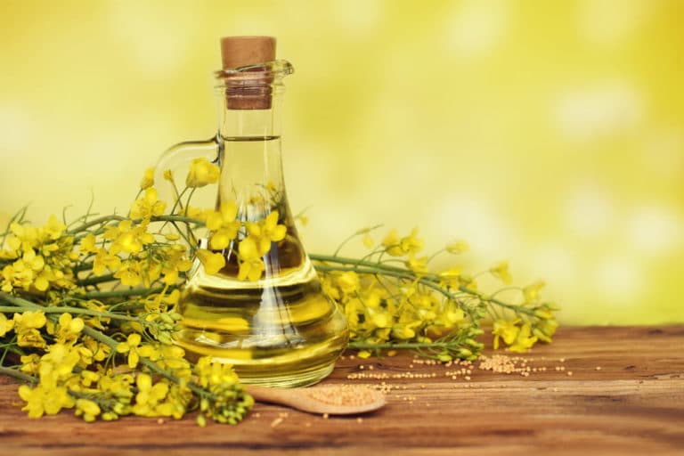 Rapsöl Anwendung, Wirkung, Inhaltsstoffe & online kaufen